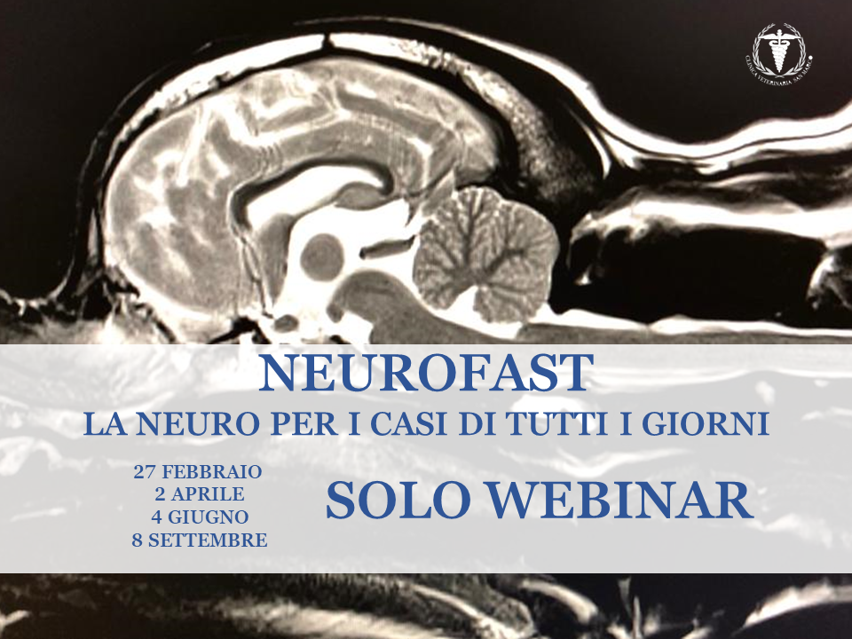 Notizie per i Medici Veterinari - Clinica e Laboratorio Veterinario San ...